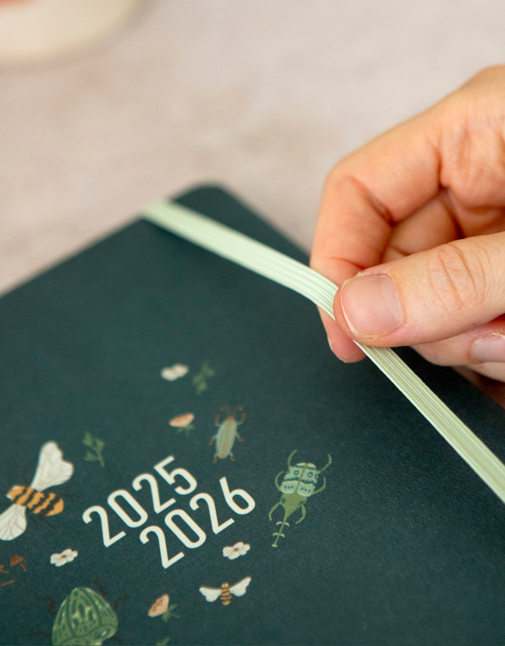Mid Size Pocket Diary 2026 - A6 Diary 2026 Week To View, January 2026 ...